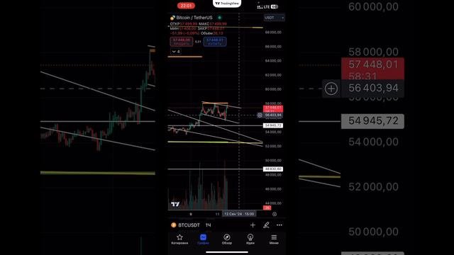 ТЕХ АНАЛИЗ #BTC ЗА 1 МИН 11.09.2024 #инвестиции #btc2024 #биткоин2024 #акции  #btcпрогноз #bitcoin