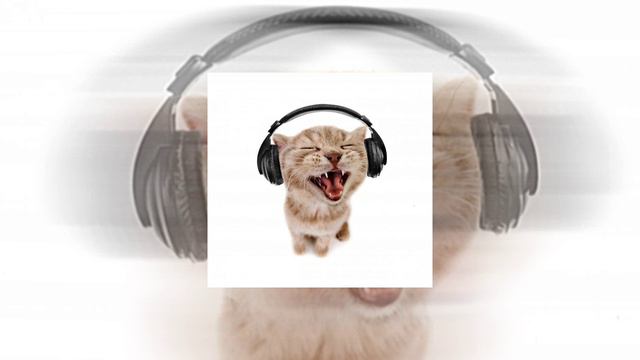 Ayesha Erotica - Hey Brendon / Slowed down - смотреть видео онлайн от ...