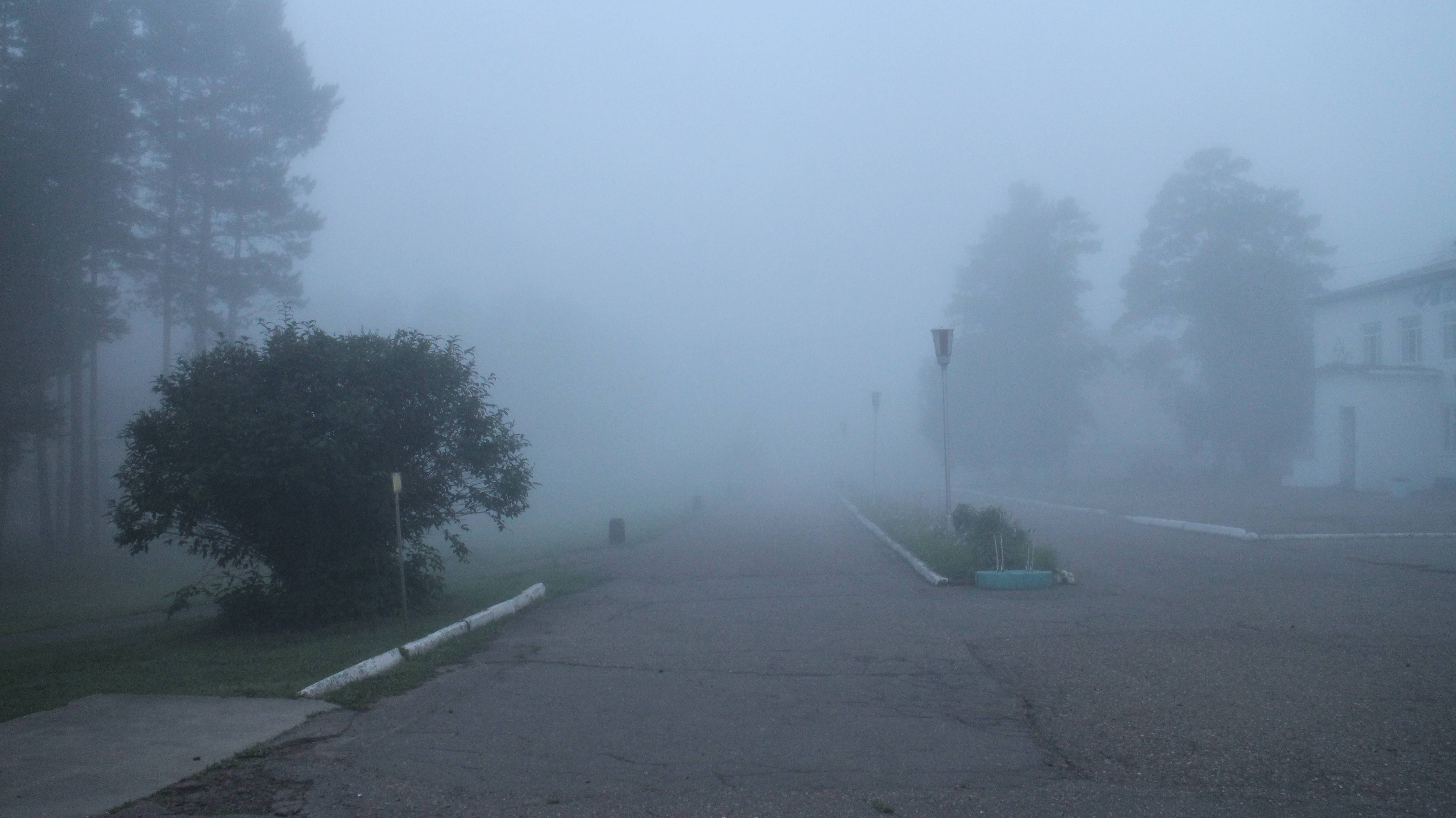 ЖАРКИ 24-2 / Навсегда в твоем сердце