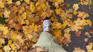 [ 3 days vlog ]  | кафе harry potter |  autumn  | halloween