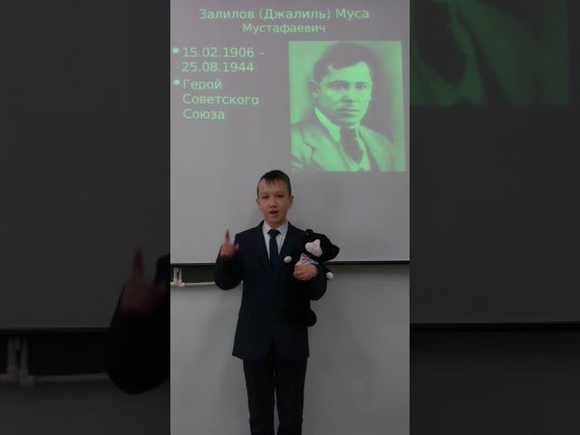 Конкурс "Красная ромашка". Участник №324 - Гайнетдинов Нияз, 10 лет, Арский район