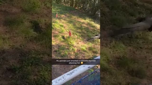 Как бороться с крокодилами