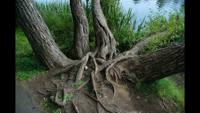 Архангельское Парк