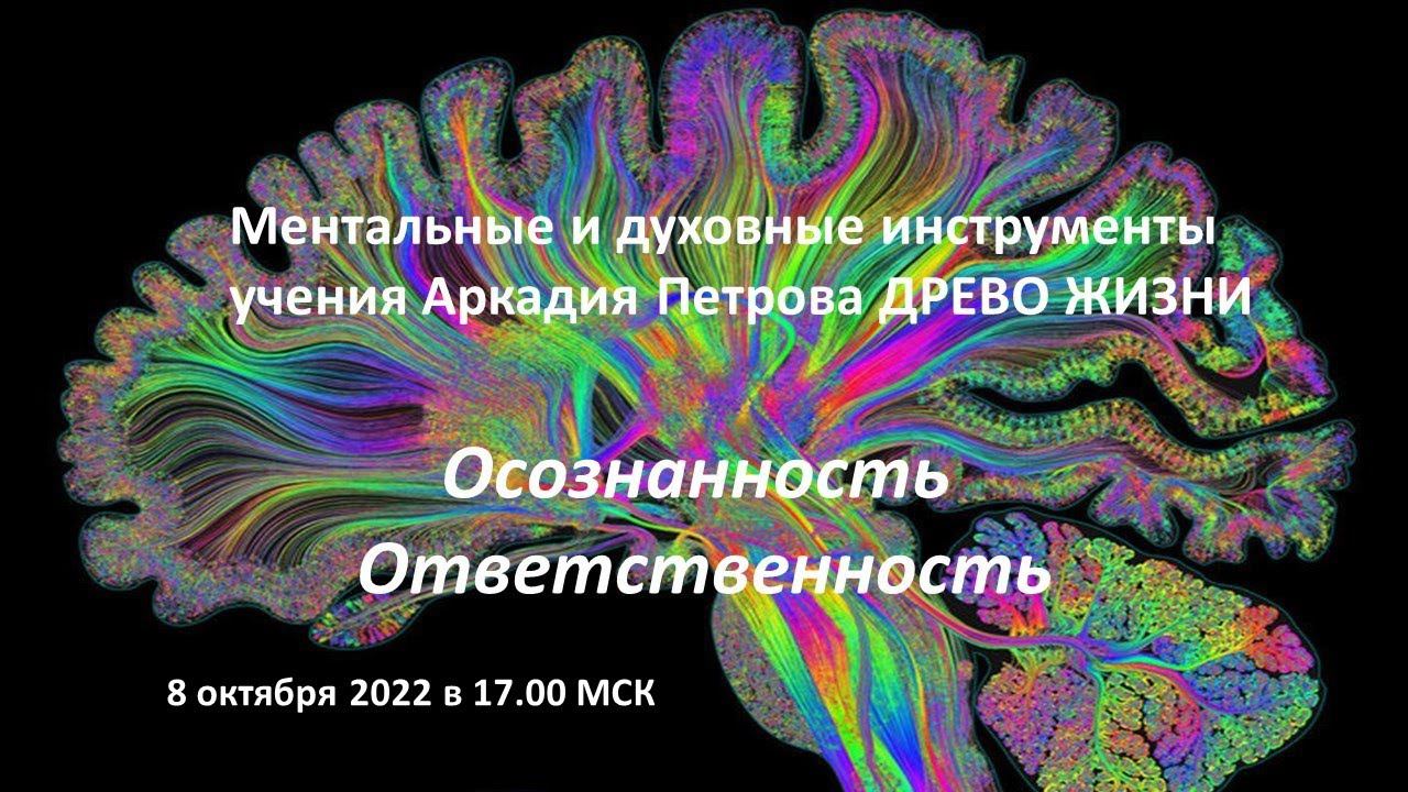 Ментальные и духовные инструменты учения Аркадия Петрова ДРЕВО ЖИЗНИ Осознанность и Ответственность.