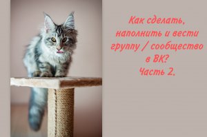 Группа во Вконтакте для фотографа, психолога, стилиста.  Анализ групп конкурентов