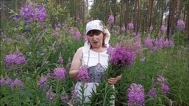 Тамле пушан кеҥеж. Юдит Бенье. Аркадий Букетов кусарен. Тамле, кеҥеж почеламут венгр поэтессын