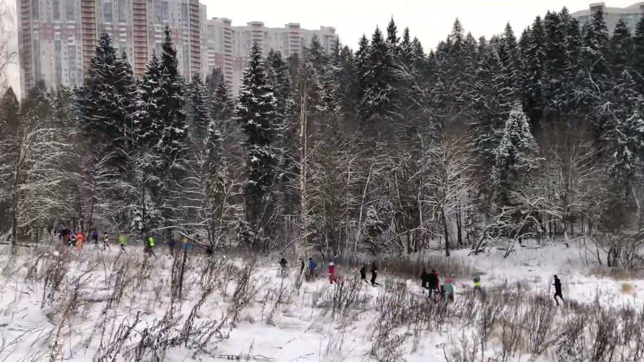 Групповой бег ♂️ в зимнем лесу