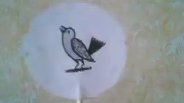 Тауматроп.mp4