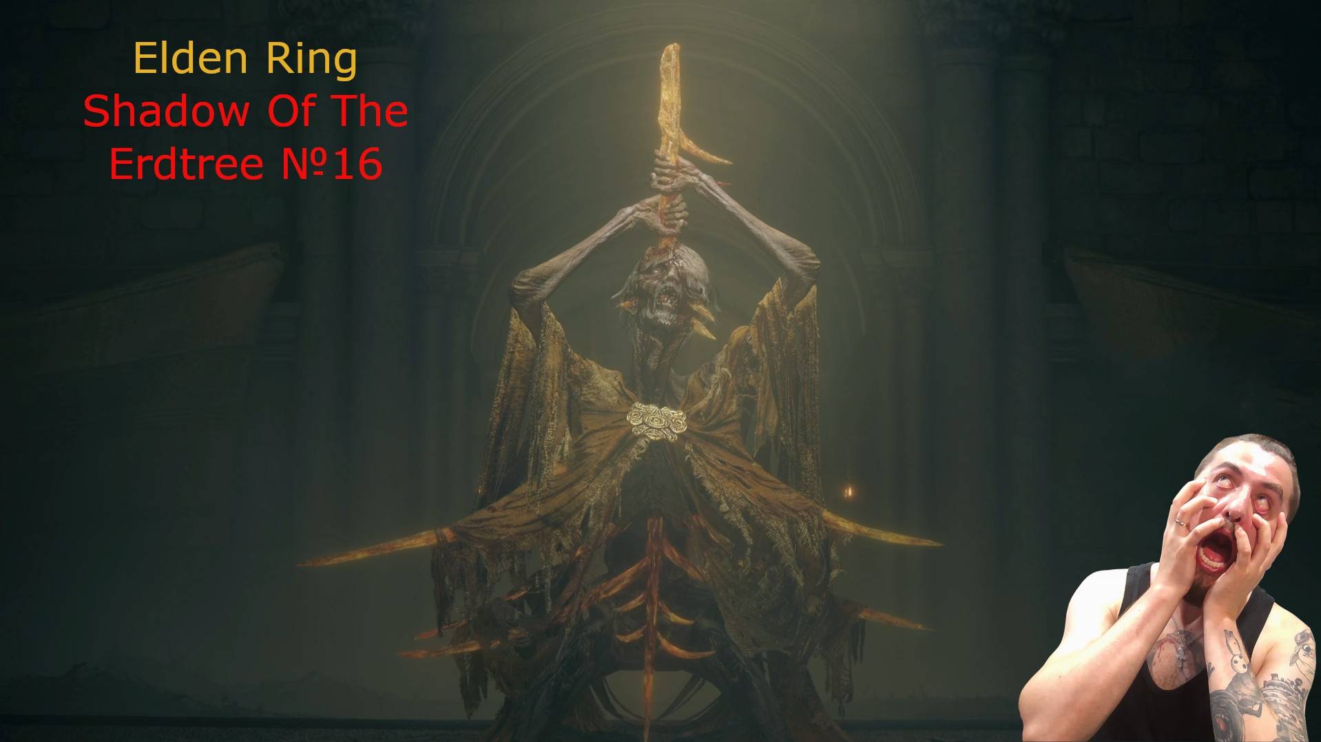 Elden Ring : Shadow Of The Erdtree №16 "Ты знаешь что такое безумие?"