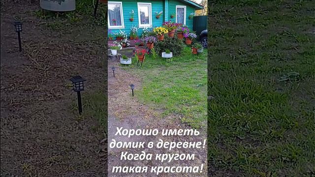 Домик в деревне