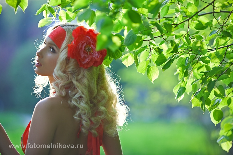 ВИКТОР ДМИТРИЕВ. ЛИШЬ ВЗГЛЯДОМ ПРОБУЮ НА ВКУС... Сл. Елены Ватолиной