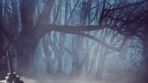 страшные истории на ноч