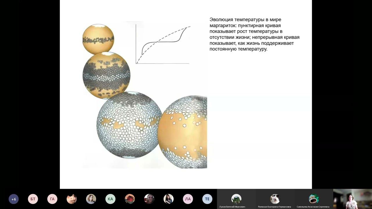 Дететерминированный хаос в биологических системах