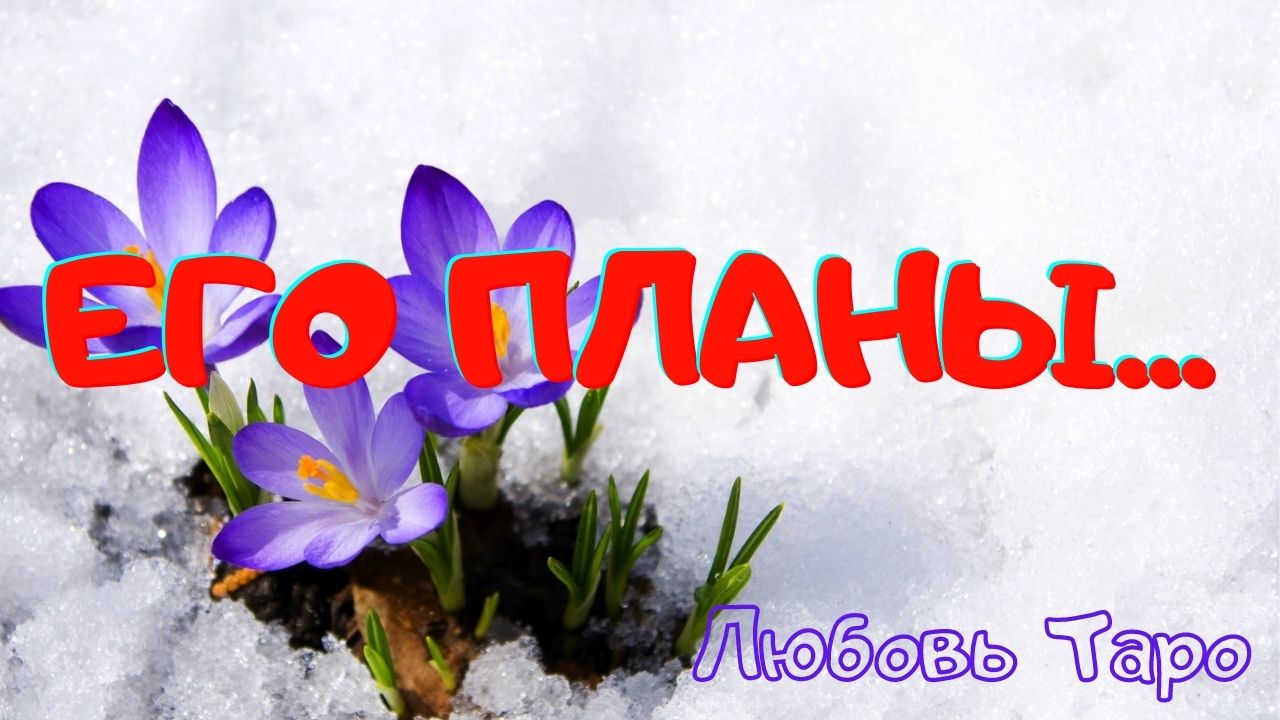 ЕГО ПЛАНЫ НА ВАС