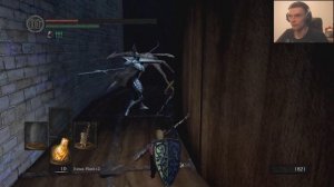 Ручной домашний Голем // Dark Souls Fog + Enemy Randomizer #4