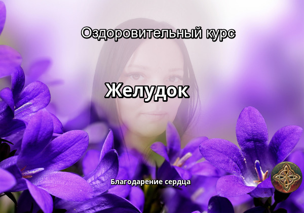 ОЗДОРОВИТЕЛЬНЫЙ КУРС: ЖЕЛУДОК