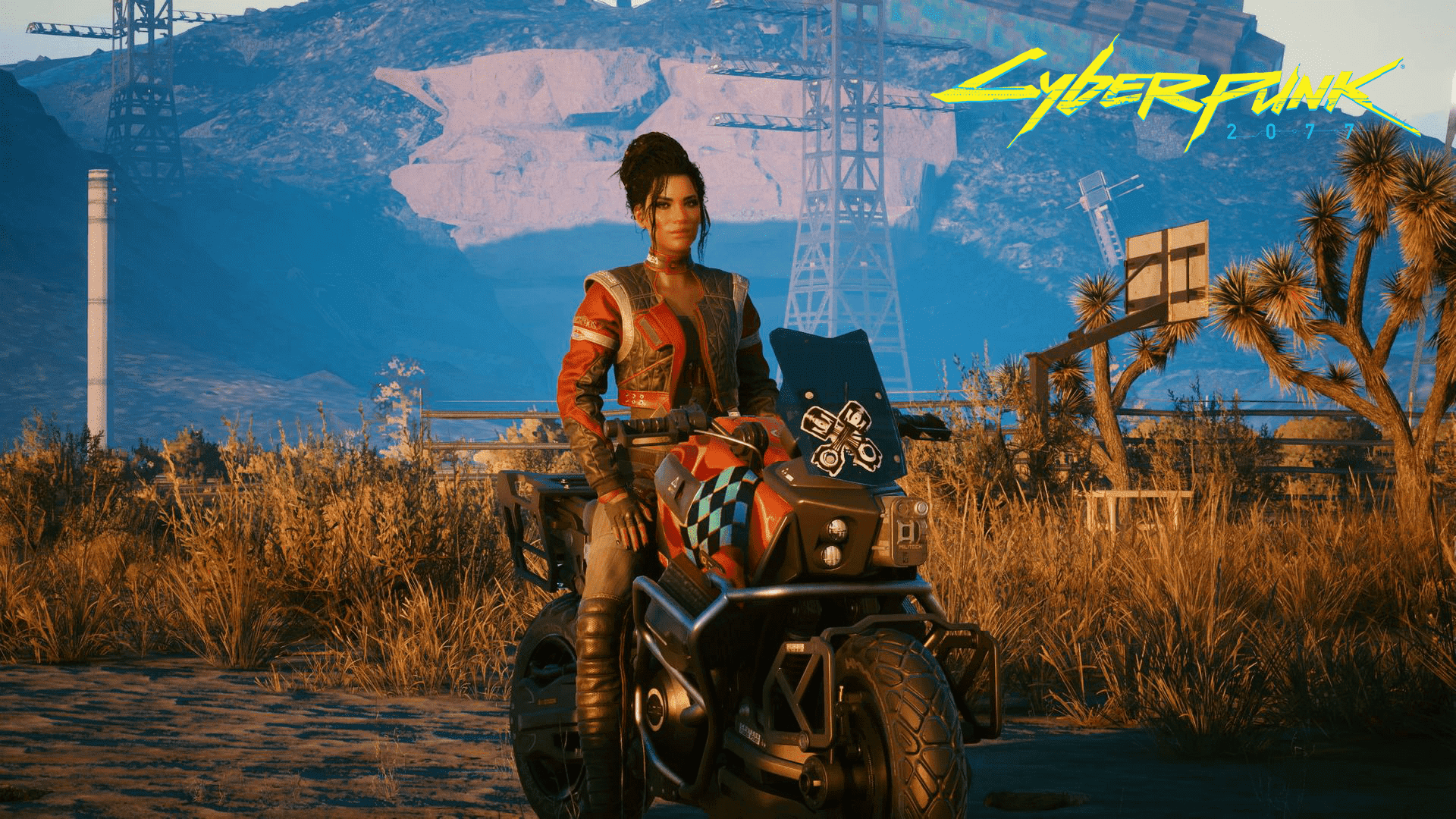 Панам Палмер Cyberpunk 2077 #13