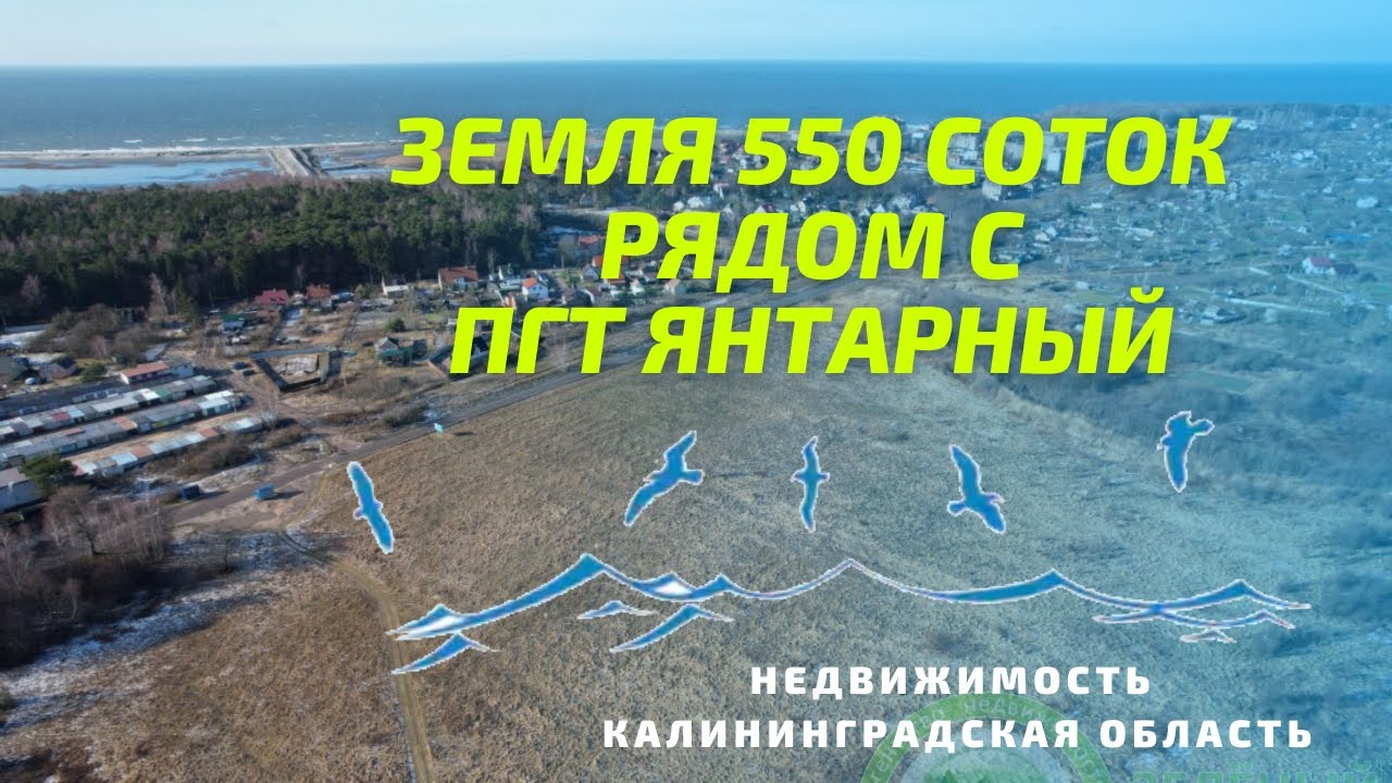 Земельный участок 550 соток | Недвижимость Калининградская область.mp4