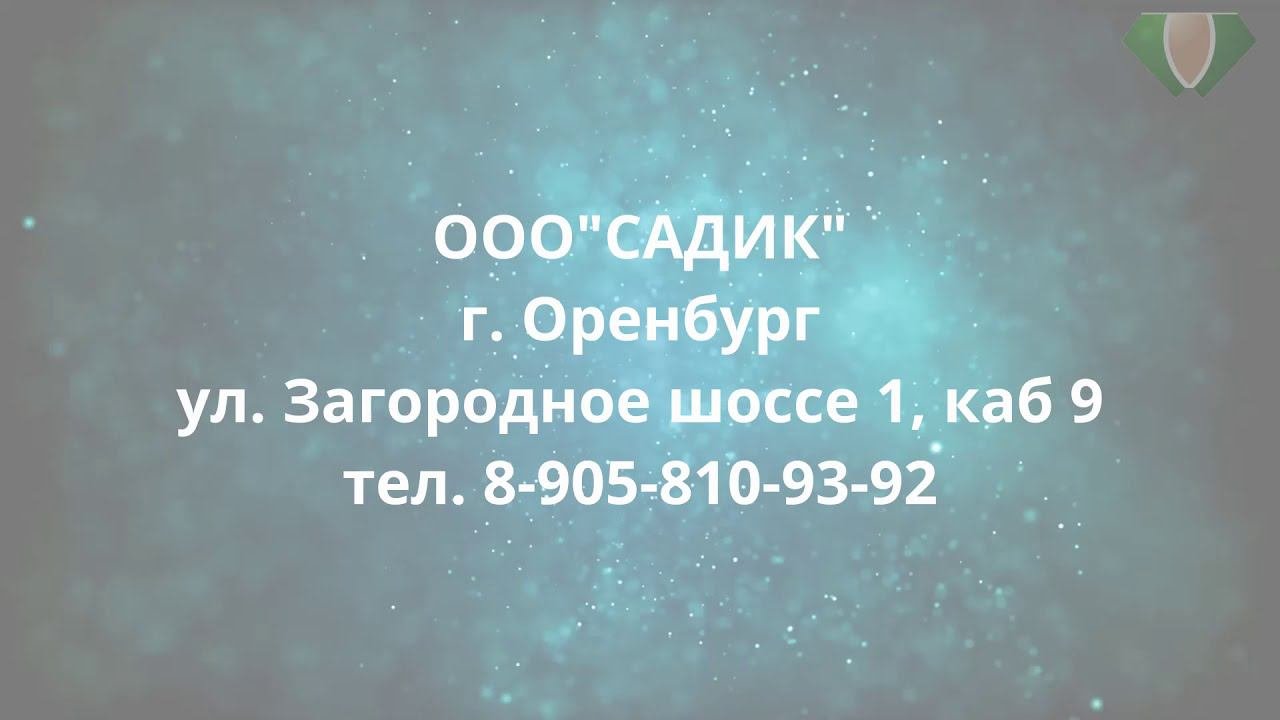 Немецкая генетика в Оренбургской области.   Яровые культуры