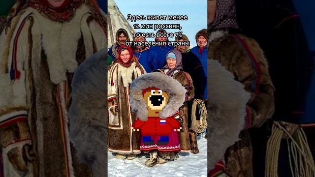 Мишка и Крайний Север