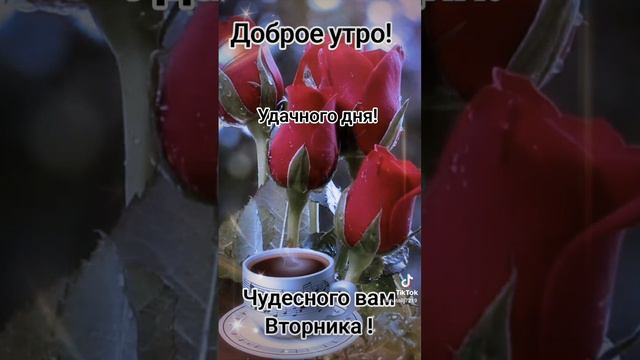 1000005255.mp4
