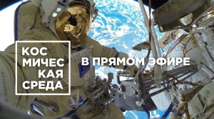 Космическая среда № 308 в прямом эфире