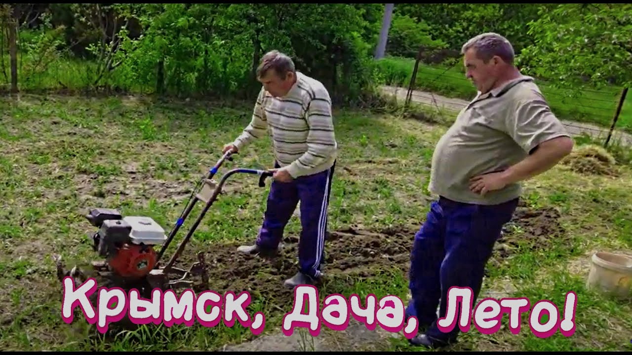 Картошка. Быстро, - не значит долго. Усадили немного её.