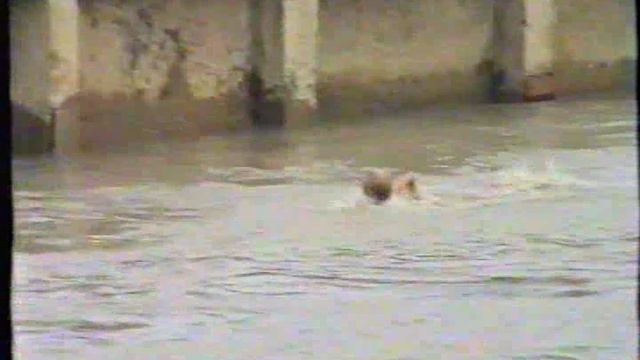 Город начинается с людей.18. 1995 г