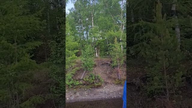 КБЖД, ОЗЕРО БАЙКАЛ. СЕГОДНЯ БУДЕМ НОЧЕВАТЬ У МОСТА ЦАРСКОГО ВРЕМЕНИ. #байкал #мояпланета #short