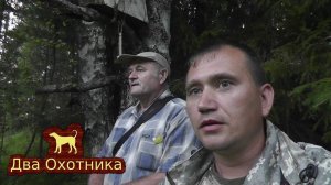 Пчёлы в ловушках!!!