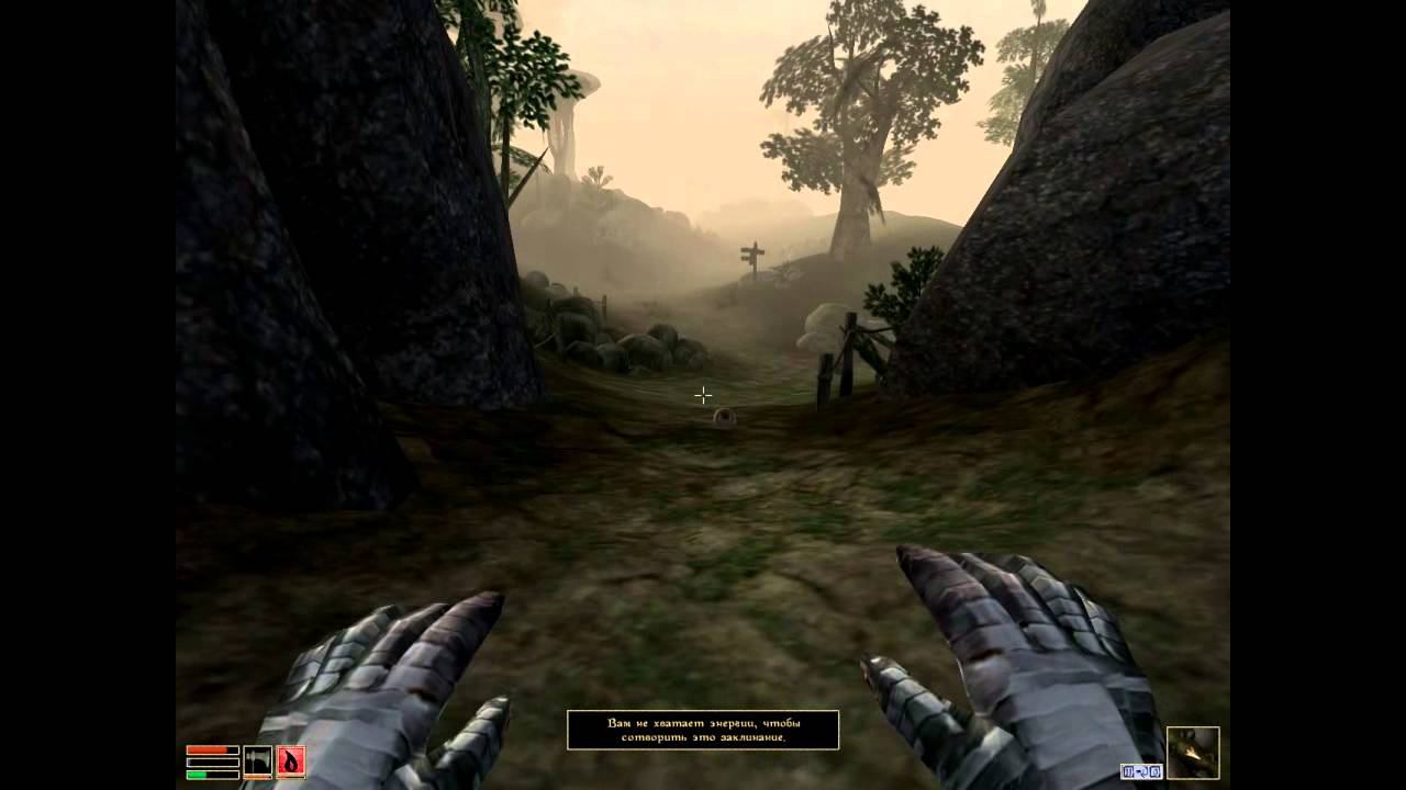The Elder Scrolls III Morrowind : 4 - В лес по цветы