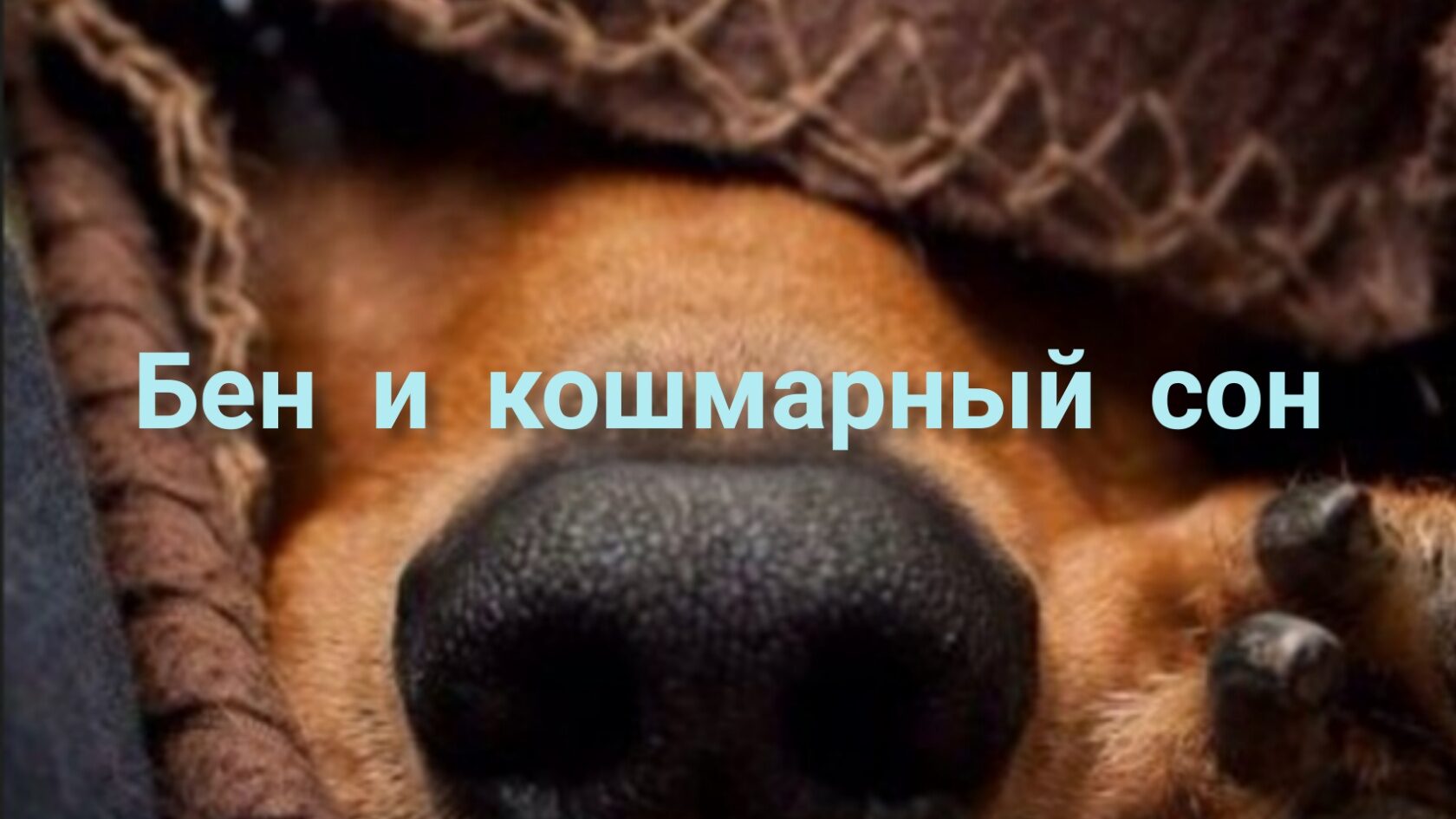 Бен и кошмарный сон