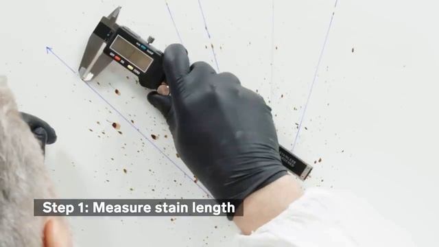 Bloodstain Patterns Analysis_Part II - смотреть видео онлайн от ...