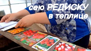 ?❄ Снег. Посеяла редиску, посеяла рудбекию.