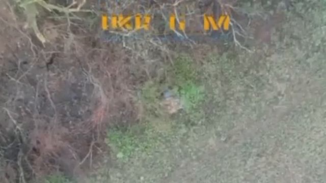 Сброс подарков на головы укрохрякам.