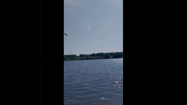 Хорошо в сибири летом река Шипулиха