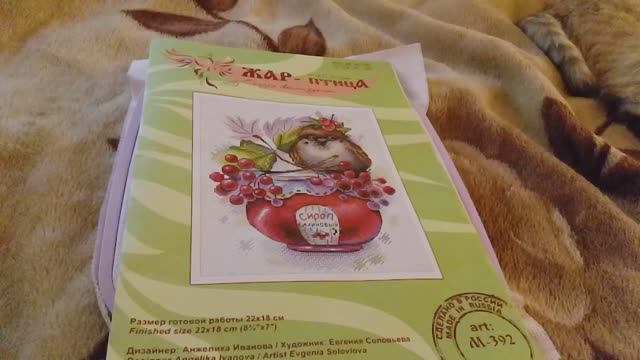 Отшив проекта М.П. Студия Жар-Птица "Красиво жить не запретишь" отчет 2