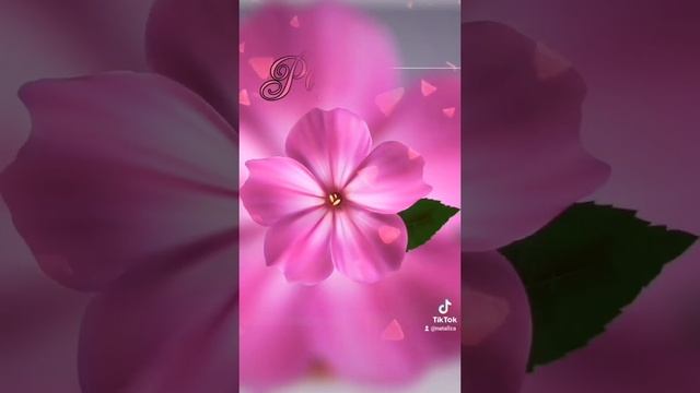 Приятного дня!