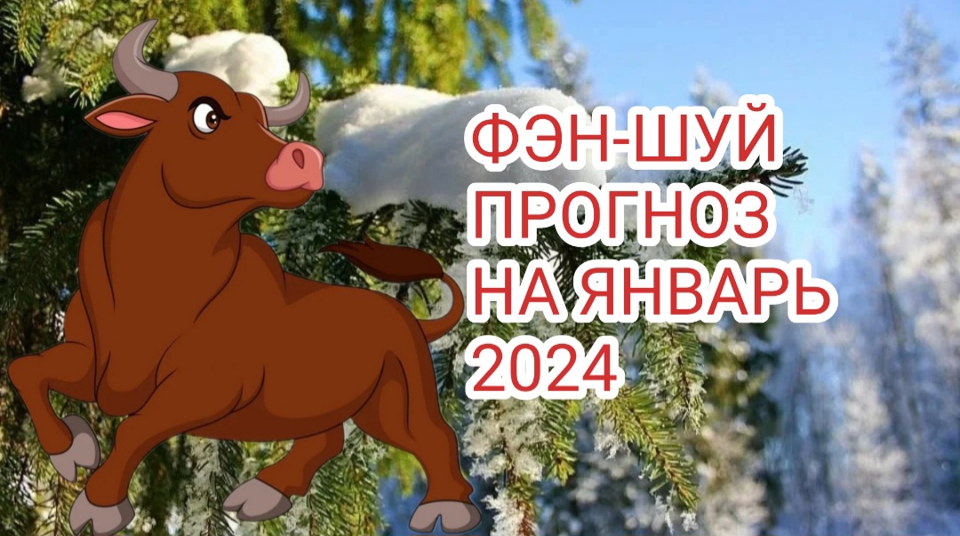 ФЭН-ШУЙ ПРОГНОЗ НА ЯНВАРЬ? МЕСЯЦ ДЕРЕВЯННОГО БЫКА
