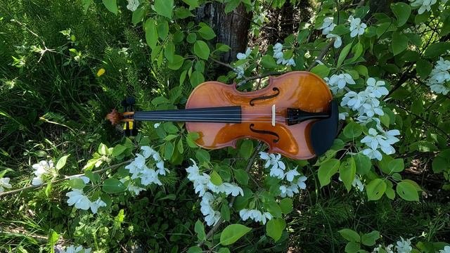 Грустная музыка из Тик Тока без слов для фона. Фоновая музыка для Стихов Цитат