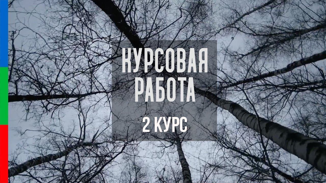ДО22 Масленникова Курсовая работа Точка слома