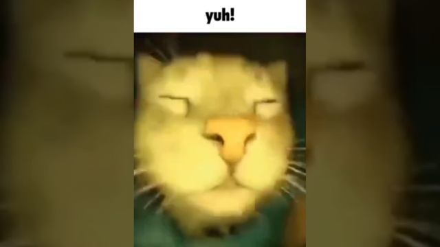 1000140970.mp4