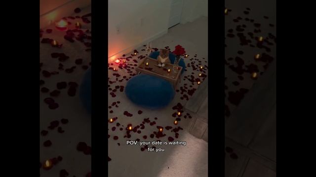 Самые смешные видео с собаками и кошками ? - Лучшие смешные видео с Животными 2023 ?