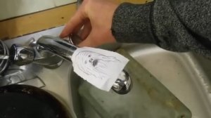 Звуки Чубакки