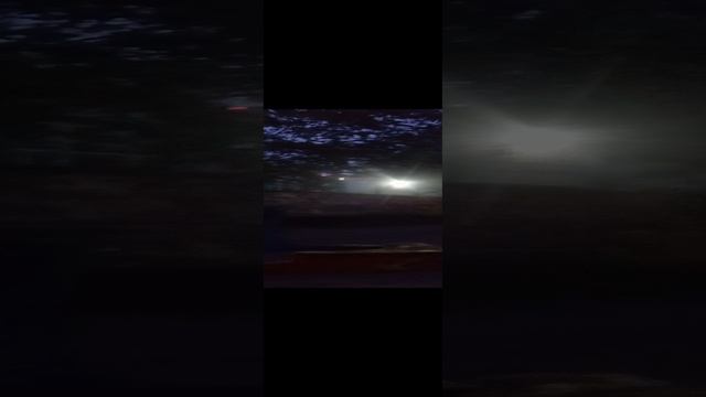Наблюдаем за летучими мышами