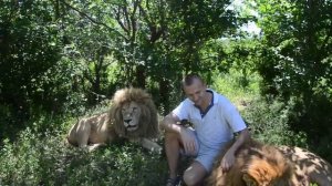 Львы ЧИП , ГЕК и замечательная семейная пара !