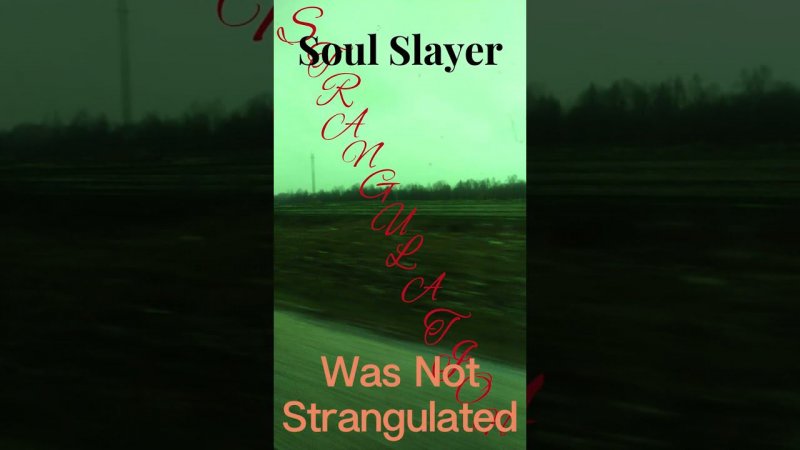 Was Not Strangulated (Strangulation OST)