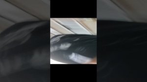 прятки с друзьями