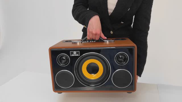 NOIR-audio MAX-300 BROWN караоке система с двумя беспроводными микрофонами. Промо