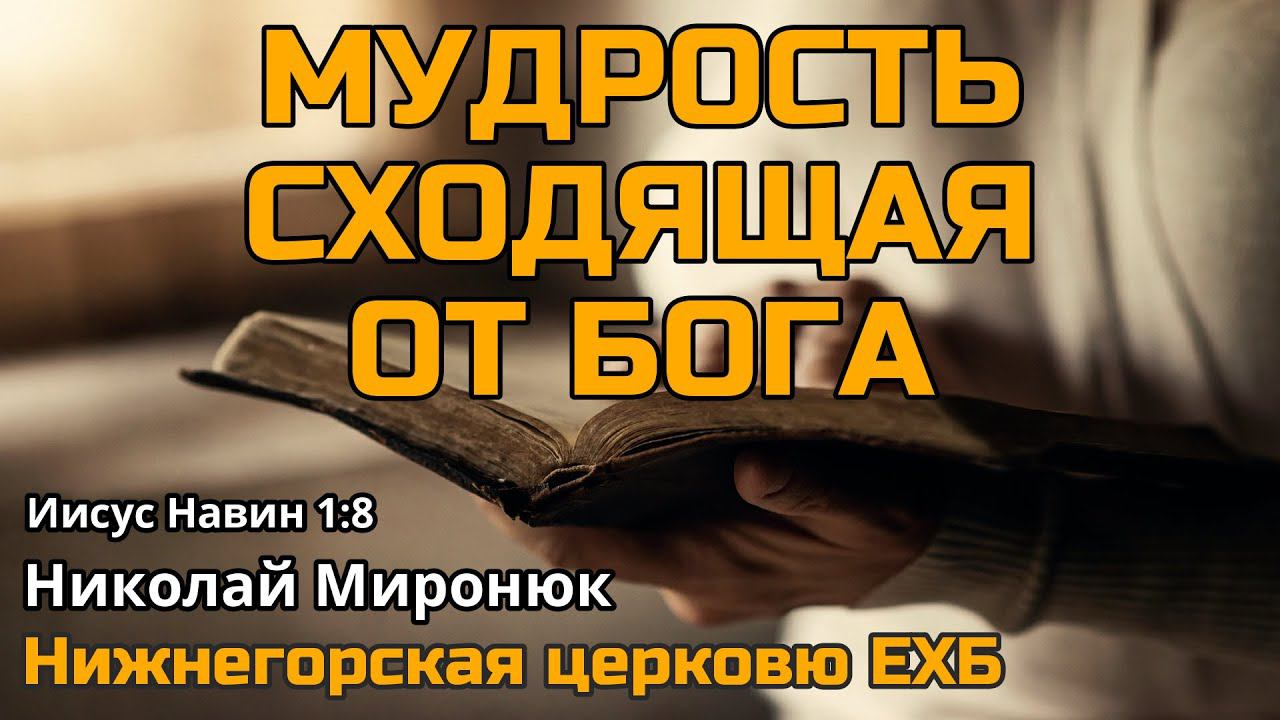 Мудрость сходящая от Бога (Николай Миронюк)